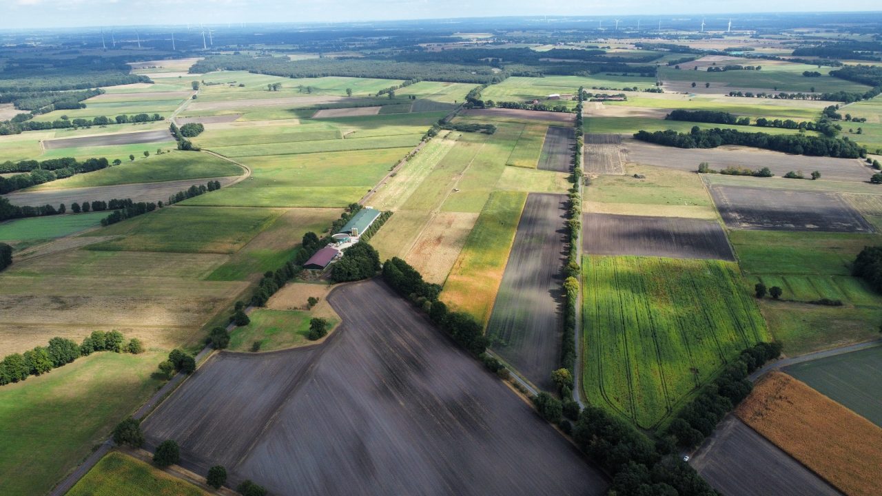 Solarpark Tiste | NEWDEV